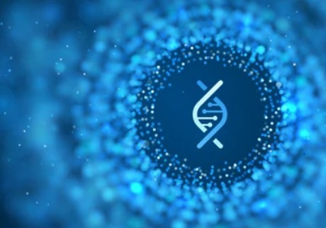 Bioconjugation Technology - CD Bioparticles