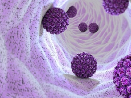 Customization Biomagnetic Beads for Drug Delivery - CD Bioparticles