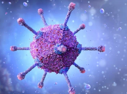 Customization Biomagnetic Beads for Drug Delivery - CD Bioparticles