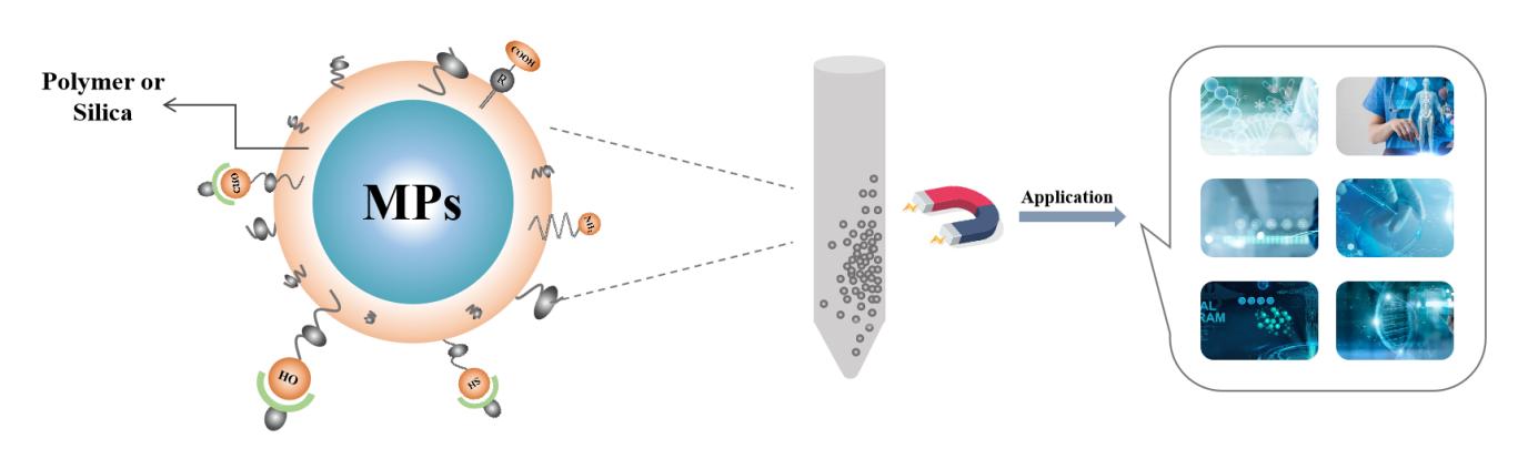 Custom Basic Biomagnetic Beads - CD Bioparticles