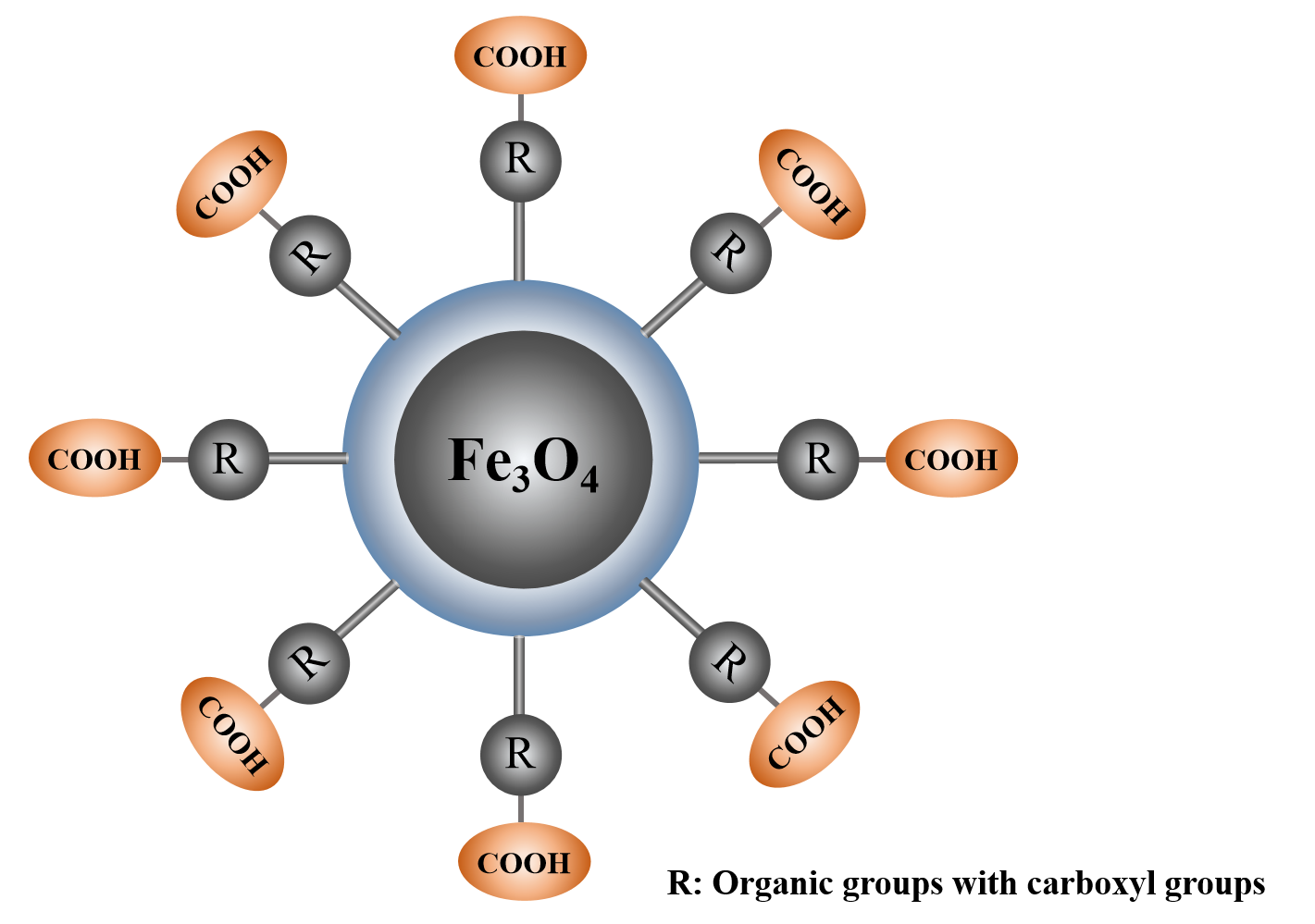 Custom Carboxy Magnetic Beads - CD Bioparticles