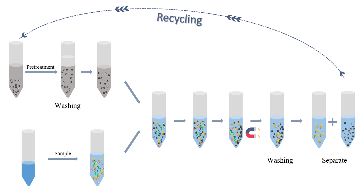 Custom Heparin Magnetic Beads - CD Bioparticles