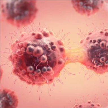 Custom Magnetic Nanoparticles for Drug Delivery - CD Bioparticles