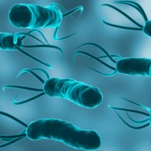 Custom Magnetic Nanoparticles for Piezoelectric Detection of Sulfate ...