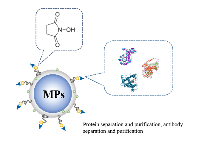 Custom NHS Magnetic Beads - CD Bioparticles