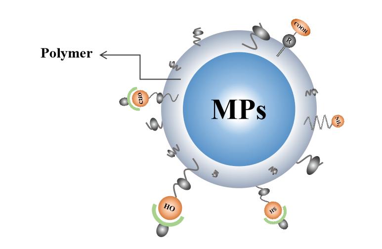 Custom Polymer Magnetic Beads - CD Bioparticles