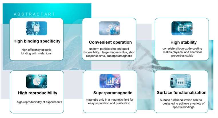 Custom Thiol Magnetic Beads - CD Bioparticles