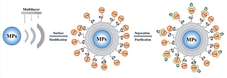 Custom Aldehyde Functionalization Magnetic Beads - CD Bioparticles