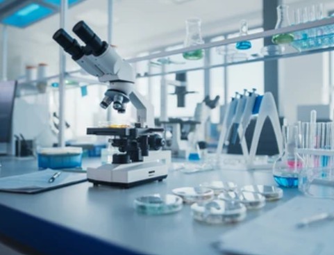 Efficient Inspection Service - CD Bioparticles