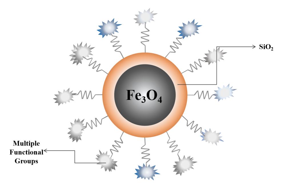 Magnetic Bead Surface Modification - CD Bioparticles