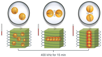 Magnetic Hydrogels and Biological Applications - CD Bioparticles