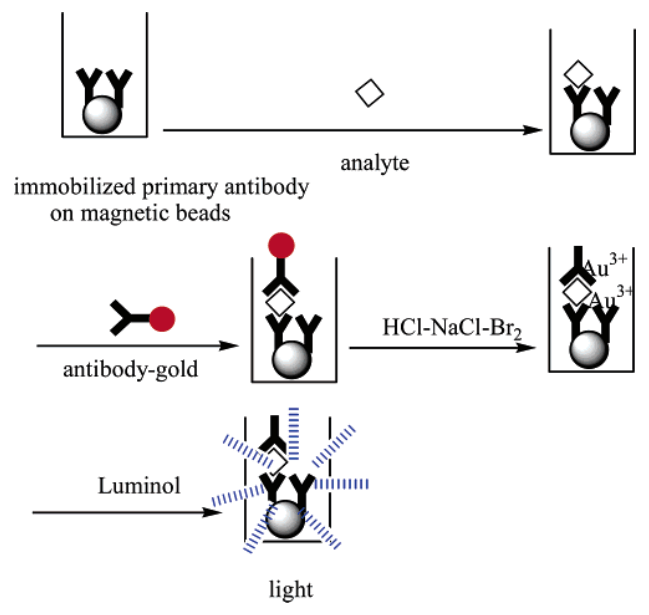 Magnetic bead-based Chemiluminescent Immunodetection of Immunoglobulin ...