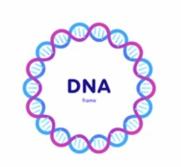 Nucleic Acid Extraction and Purification - CD Bioparticles