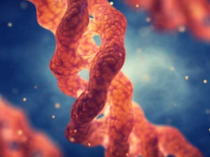 Platform Development for Protein Bioconjugation - CD Bioparticles