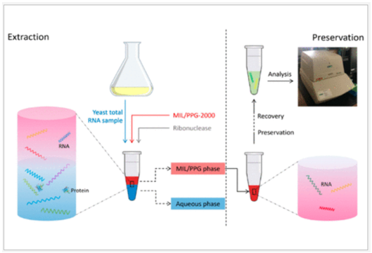 Preparation of Magnetic Ionic Liquids for RNA Extraction - CD Bioparticles