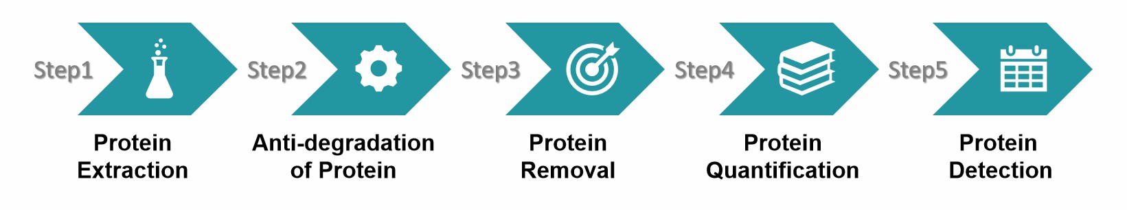Protein Extraction and Purification - CD Bioparticles